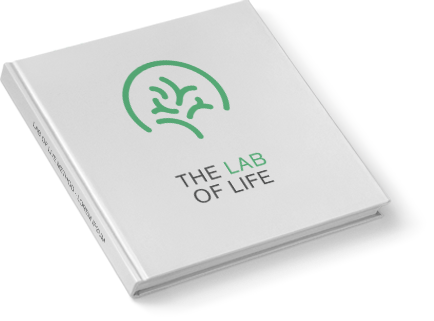 Home [www.thelaboflife.com]